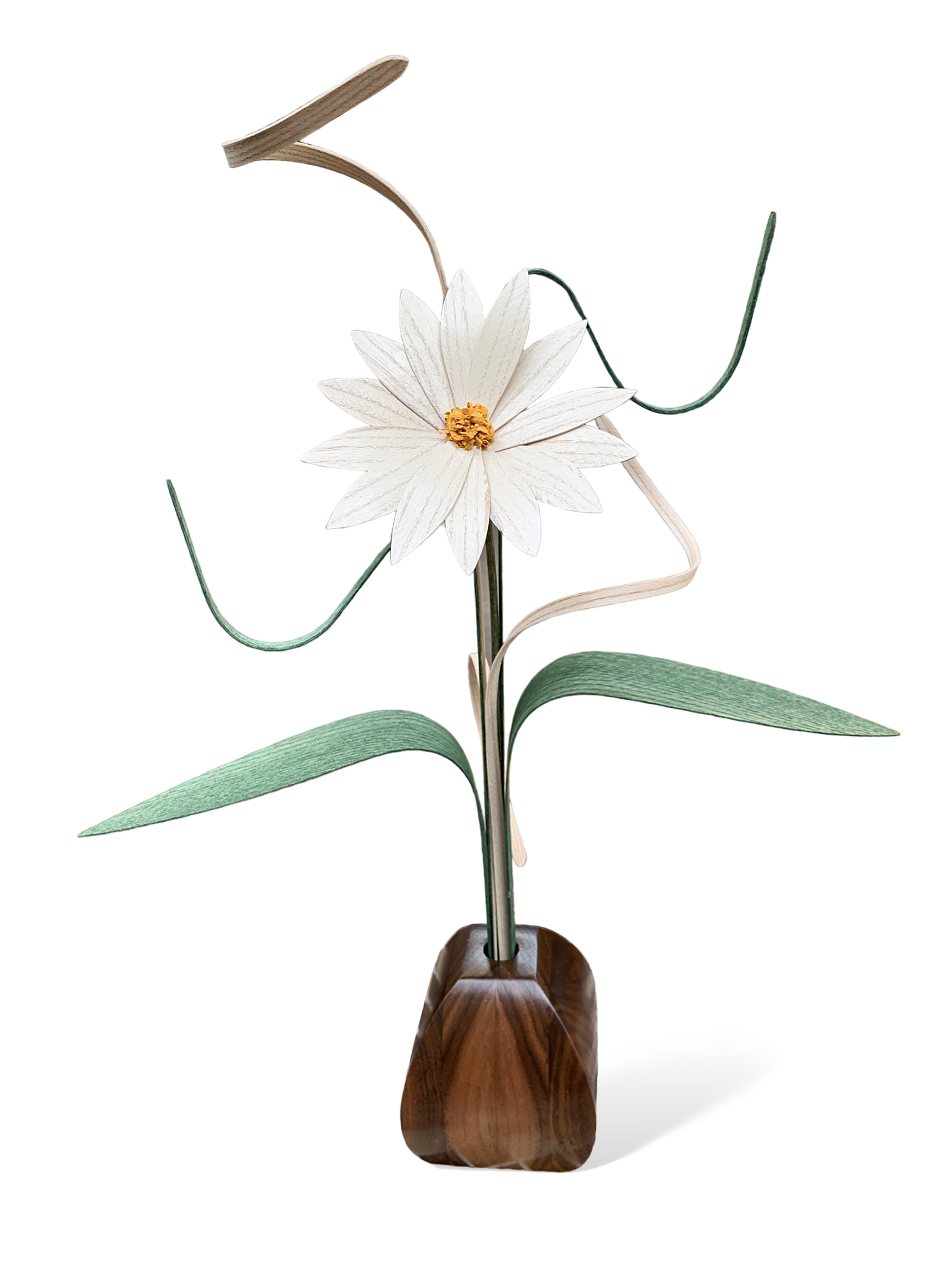Daisy Wood Flower in Walnut Vase